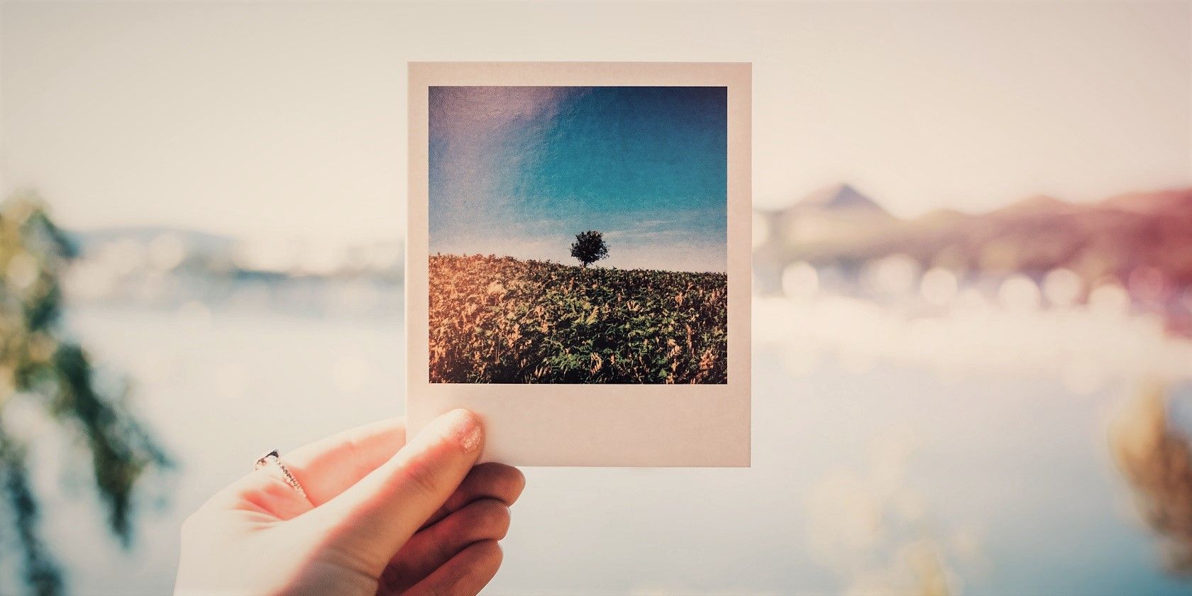 How to Create Printable Polaroid-Style Photos Using Canva - CESbible ...